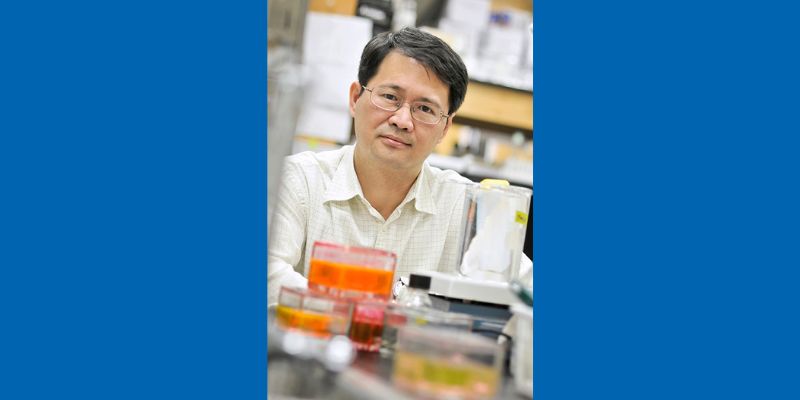 For labrum tears, regrowth rather than repair - News Center - The ...